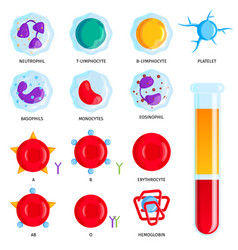 Cell anatomy set Royalty Free Vector Image - VectorStock