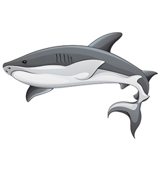 Generic shark Royalty Free Vector Image - VectorStock