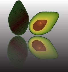 Avocado detailed icon Royalty Free Vector Image