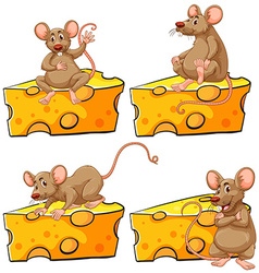 Mouse and cheese Royalty Free Vector Image - VectorStock