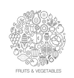 Fruits vegetables food in circle - concept line Vector Image