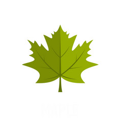 Birch leaf icon flat style Royalty Free Vector Image