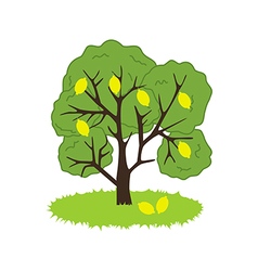 Lemon Tree Icon Royalty Free Vector Image - VectorStock