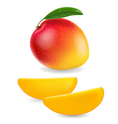 Fresh mango fruit and juice Royalty Free Vector Image