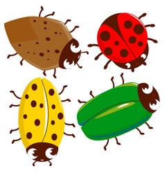 With a cute green bug cartoon Royalty Free Vector Image