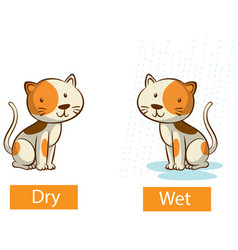 Opposite adjectives words with big and small Vector Image