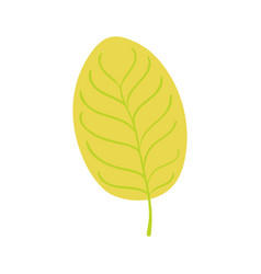Birch leaf icon flat style Royalty Free Vector Image