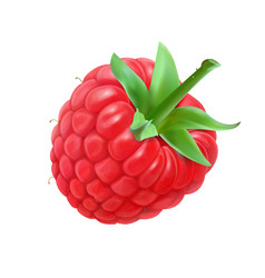 Realistic red raspberries with green leaves Vector Image