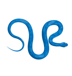 Slither blue python snake top view icon Royalty Free Vector