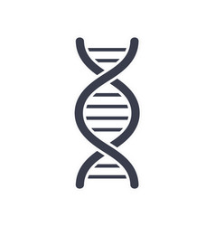 Colorful dna spirals bright Royalty Free Vector Image