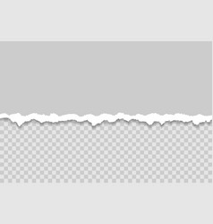 Torn square paper set Royalty Free Vector Image