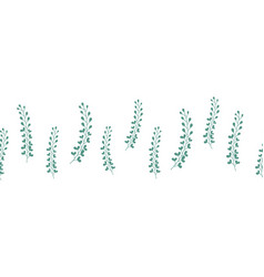 Leaves decorative algae horizontal border Vector Image