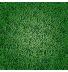 Green grass seamless pattern 1 Royalty Free Vector Image