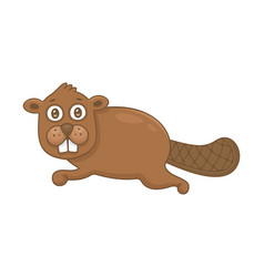 Diagram showing body part beaver Royalty Free Vector Image