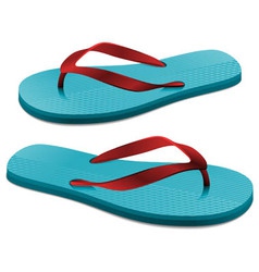 Beach sandals Royalty Free Vector Image - VectorStock