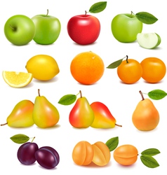 Fresh color fruit and juice Royalty Free Vector Image