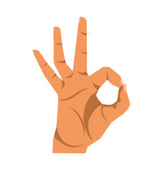 Human okay hand sign Royalty Free Vector Image