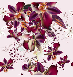 Orchid summer tropical flower Royalty Free Vector Image