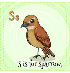 Flashcard letter S is for six Royalty Free Vector Image