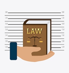 Law design Royalty Free Vector Image - VectorStock
