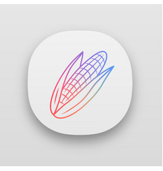 Corn plant frame on white background Royalty Free Vector