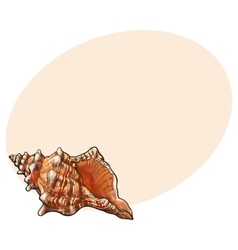 Colorful spiral conch sea shell isolated sketch Vector Image
