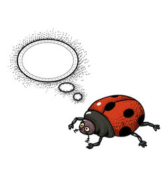 Ladybug-100 Royalty Free Vector Image - VectorStock
