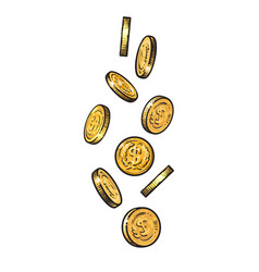 Sketch falling coins money flowing top down Vector Image