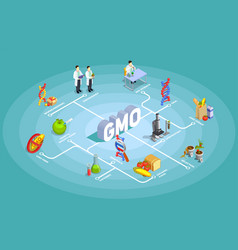 Genetically modified organisms isometric flowchart
