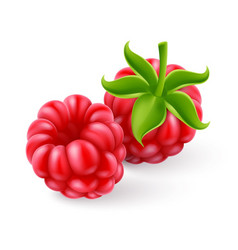 Raspberry fruit cartoon Royalty Free Vector Image
