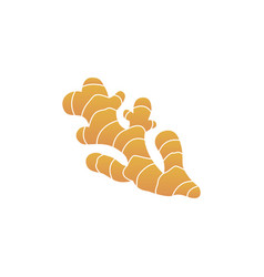 Gold ginger logo Royalty Free Vector Image - VectorStock