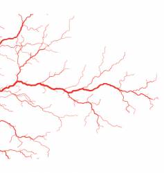 Veins Royalty Free Vector Image - VectorStock
