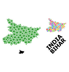Map of bihar state - collage wine and grapes Vector Image