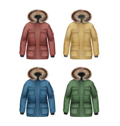 Womens brown winter coat with fur collar Vector Image