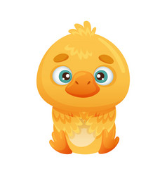 Cute yellow chicken funny bird cartoon character Vector Image