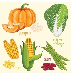 Vegetable mix Royalty Free Vector Image - VectorStock